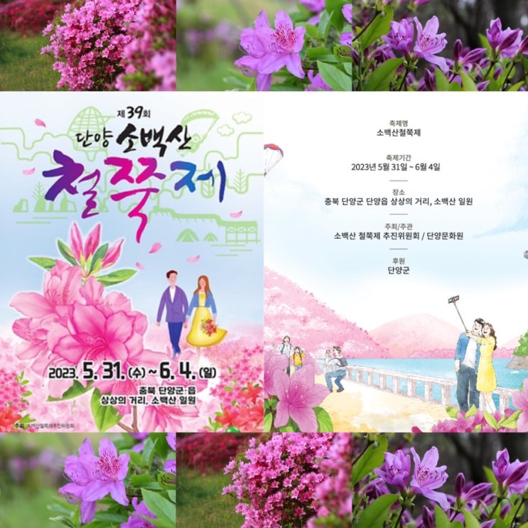 단양 소백산 철쭉제 기본정보 등산코스 단양산 소백산 철쭉 최단코스 비로봉 둘레길 충북 단양 가볼만한곳 네이버 블로그