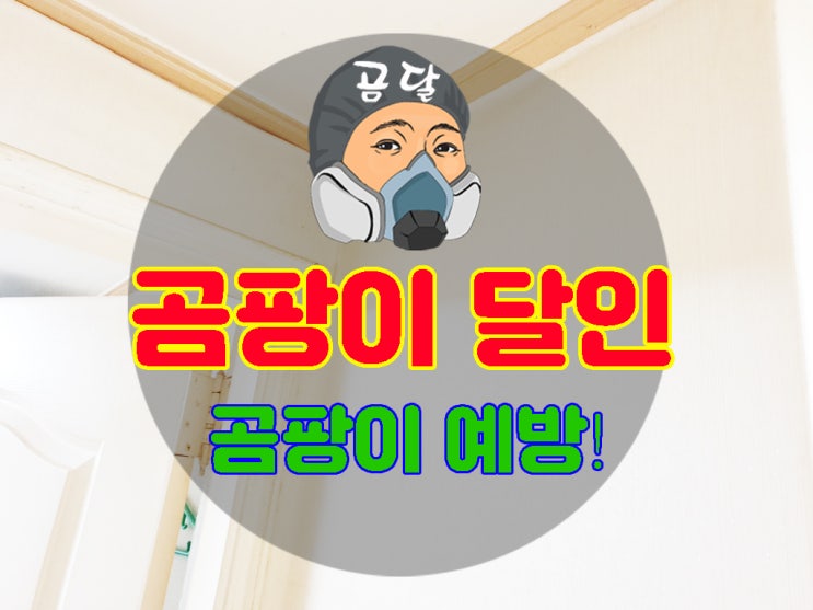 열반사 단열재로 곰팡이 예방 효과 보기 네이버 블로그