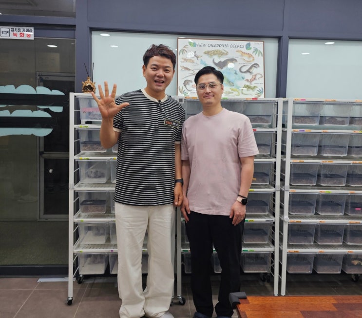 광주 파충류샵 쏭크레 Cmb방송국 화룡정점 촬영 네이버 블로그