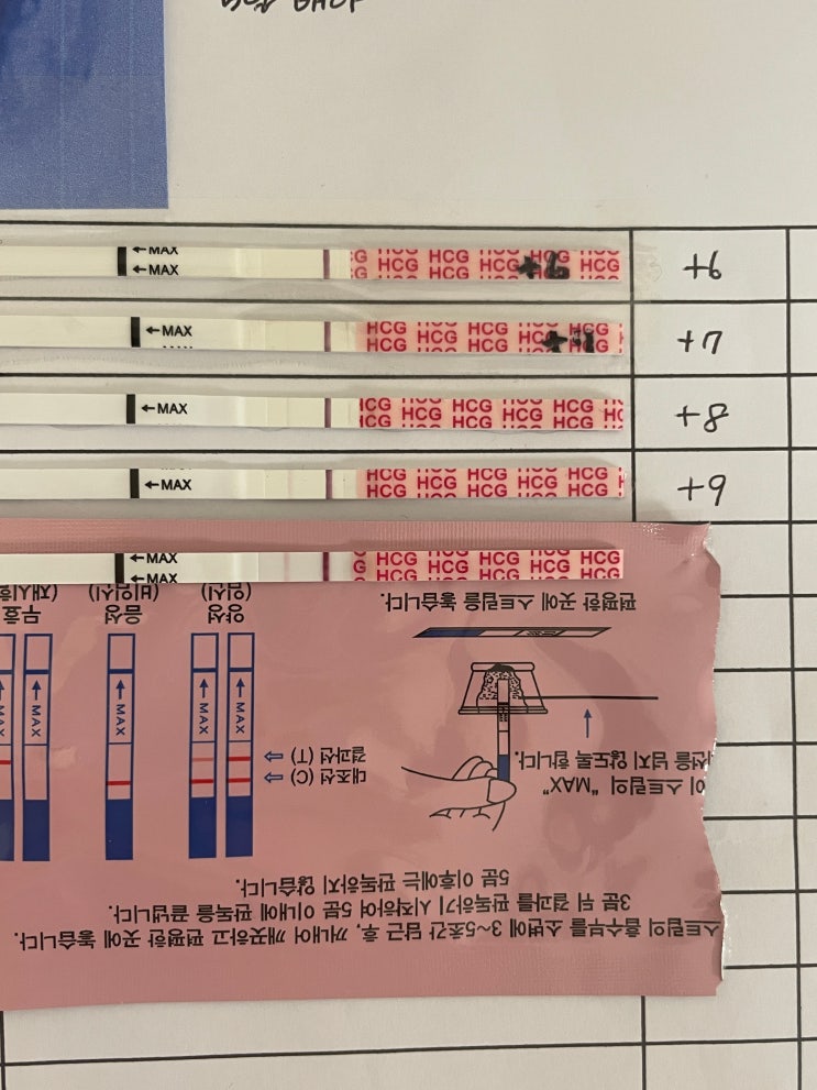 시험관 3차 동결2차 이식 후 결과 임신테스트기 6일차 단호박 7일차 두 줄 1차 피검사 결과 네이버 블로그