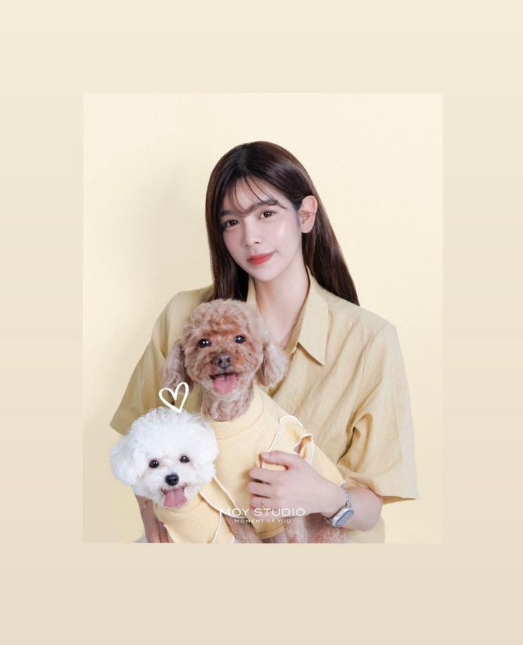 울산 성남동 사진관 모이스튜디오 애견 동반 촬영 성공적 ( MOY STUDIO ) : 네이버 블로그