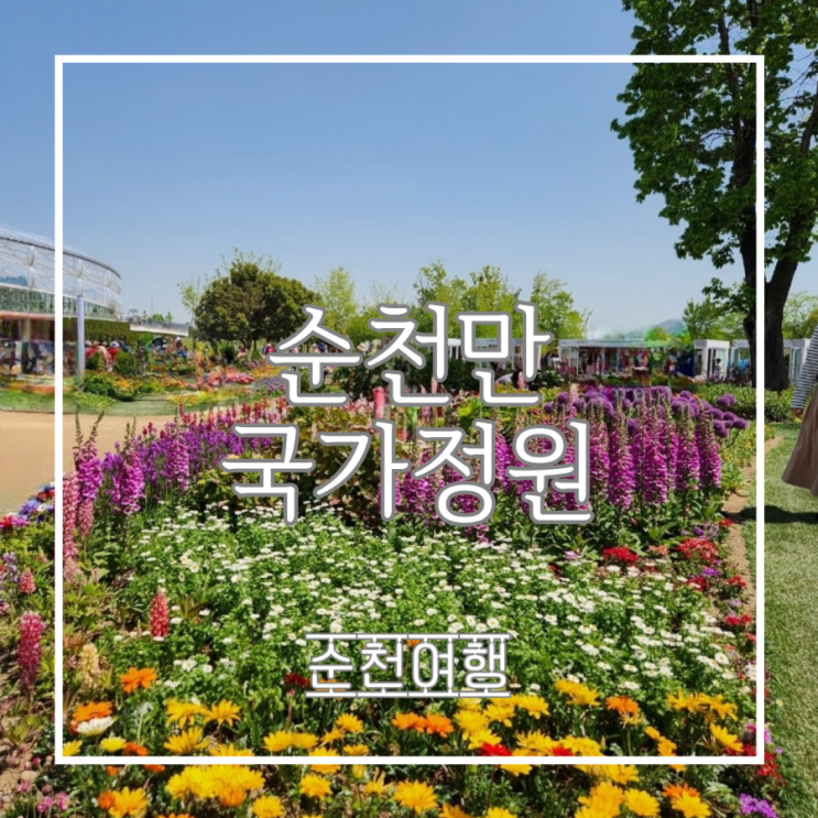 순천여행 순천만국가정원 입장권 예매 주차 순천가족여행 벽오동 순천 가볼만한 곳 네이버 블로그