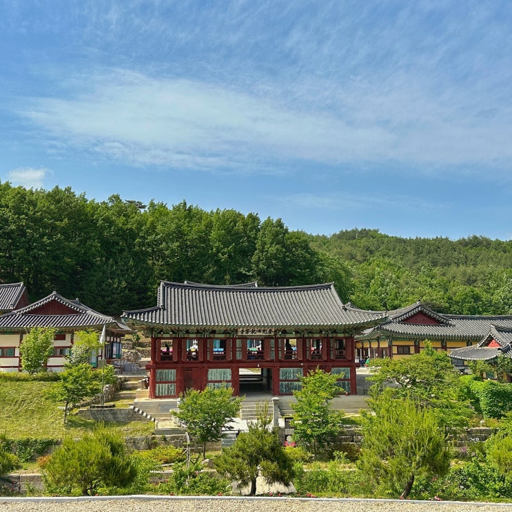 속초여행 고성여행 6월 가볼만한곳 강원도 고성 금강산 건봉사 사명대사와 한용운의 항일정신이 깃든 천년고찰 네이버 블로그