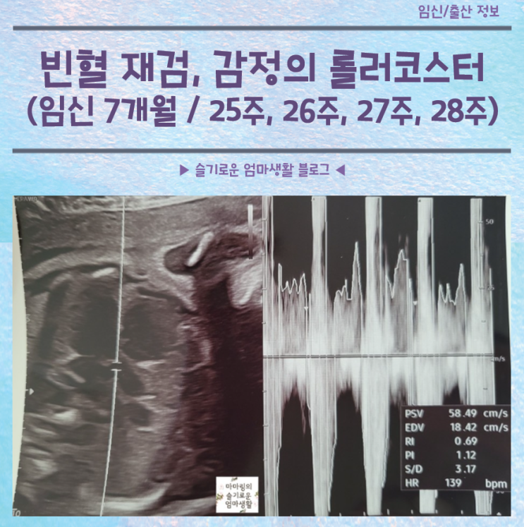 임신 중기 25주 26주 27주 28주 (임신 7개월) 기록 : 빈혈 재검, 감정의 롤러코스터 : 네이버 블로그