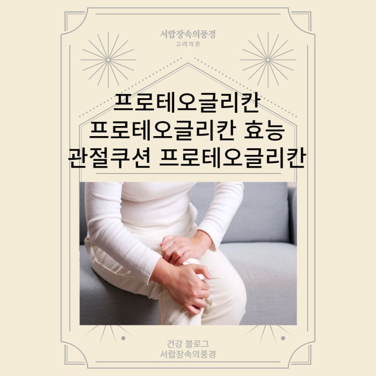 프로테오글리칸 프로테오글리칸 효능 관절쿠션 프로테오글리칸 관절 연골구조 퇴행성관절염 치료 네이버 블로그