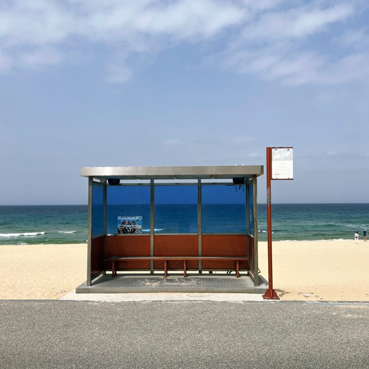 강릉 가볼만한곳 강릉 해변가 드라이브 하조대해수욕장 향호해변 경포해변 안목해변 네이버 블로그