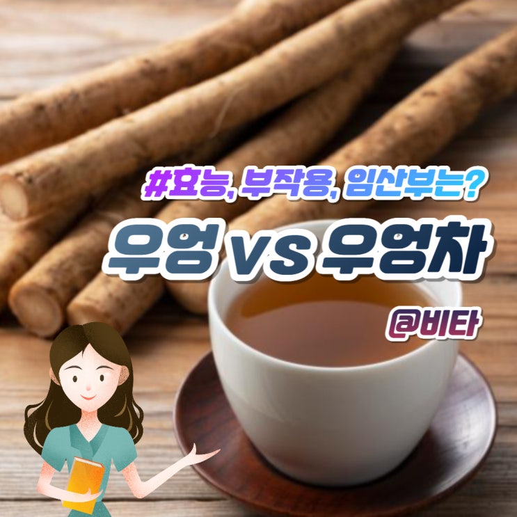우엉차효능 우엉효능 칼로리 부작용은 네이버 블로그
