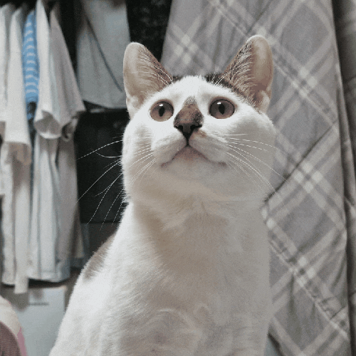 6월1일 유월아 반갑고 또 가보자고 ~~! : 네이버 블로그