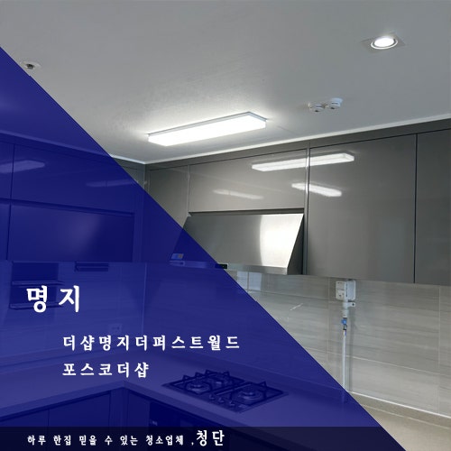 부산명지입주청소 더샵명지퍼스트월드 명지포스코더샵 입주청소 꼼꼼히 잘하는 이사청소업체 네이버 블로그