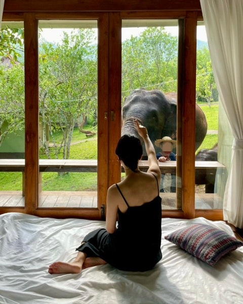 치앙마이 Tawan Riverside Resort 타완리버사이드 코끼리 모닝콜 호텔 숙소 후기_02 : 네이버 블로그