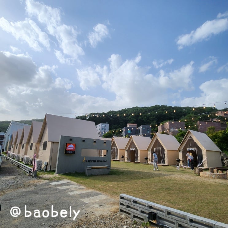 용인 애견동반 바베큐 포레스트 가든 당일치기로 즐기는 애견동반 글램핑과 바베큐 가격 및 후기 네이버 블로그