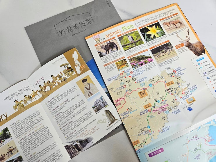 대마도 여행 준비하기 - 승선권, 숙소, 렌터카, 환전 작은 꿀팁들 : 네이버 블로그