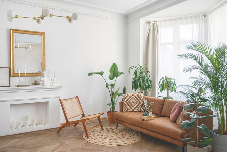 집안에 조화를 두면 풍수지리에 나쁠까? : 네이버 블로그