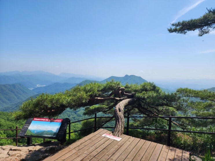 순창 백암산 등산코스 지도♧산행시간 최단코스 구암사주차장~백학송~상왕봉 정상 원점회귀 51km 네이버 블로그
