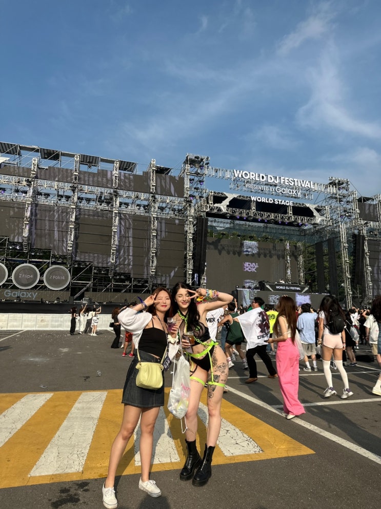 2023 6월 2일 월디페 후기 꿀팁 (술, 간식, 소지품검사, 고데기, 코끼리열차, 얼굴스티커) : 네이버 블로그