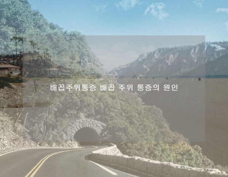 배꼽주위통증 배꼽 주위 통증의 원인 네이버 블로그