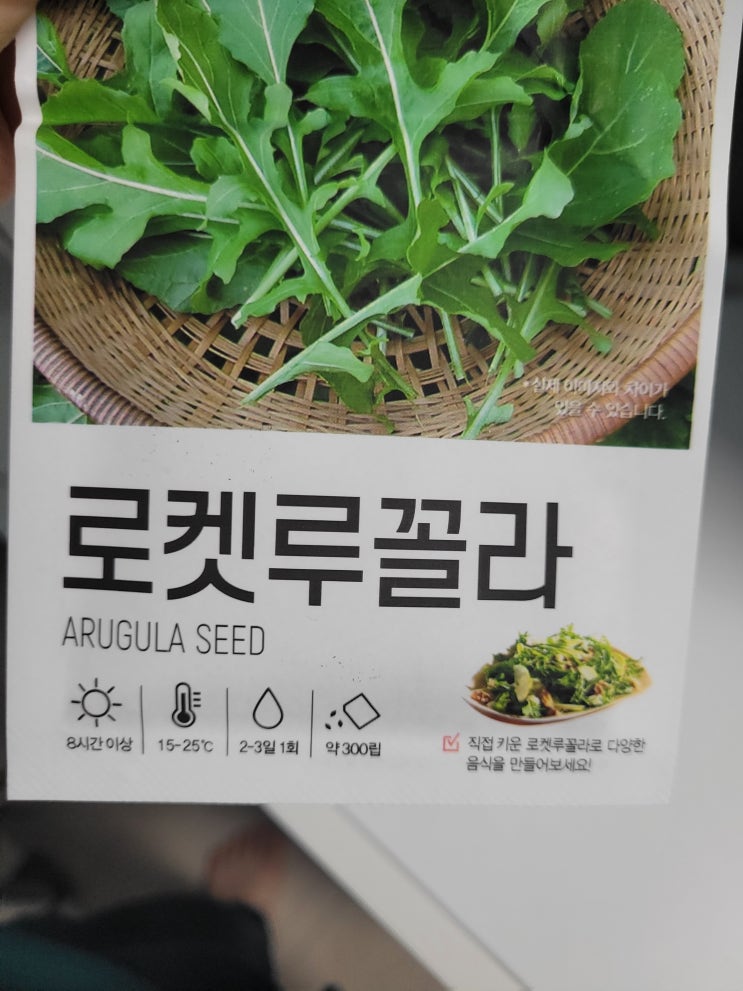 식용 허브 성장 일기 루꼴라 로즈마리 바질 애플민트 타임 파슬리 네이버 블로그