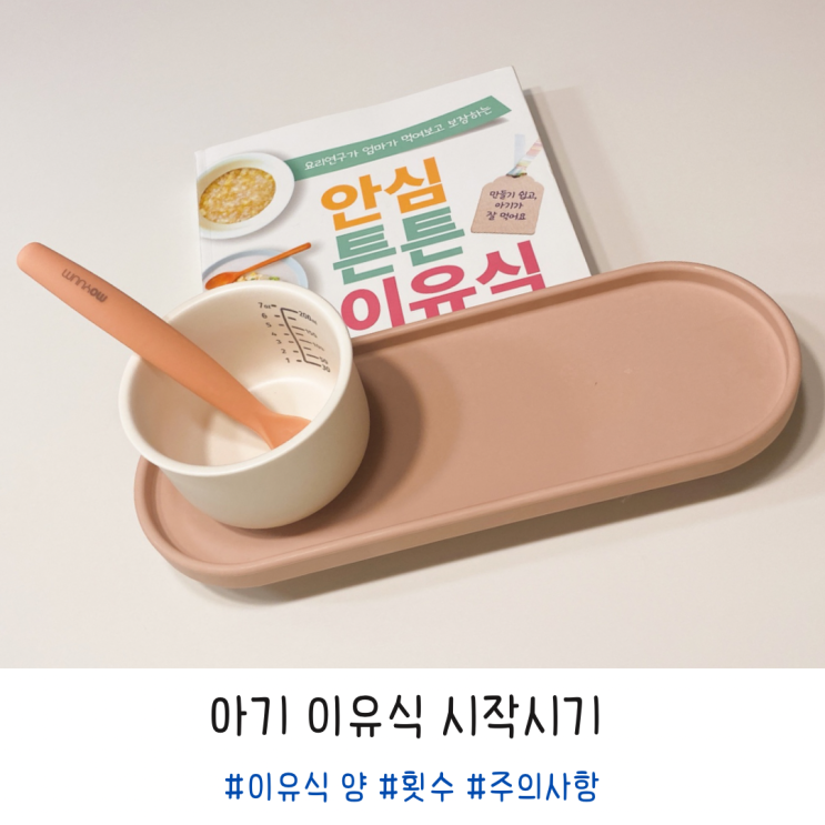 아기 이유식 시작시기 초기 이유식 양 횟수 주의사항 체크 네이버 블로그
