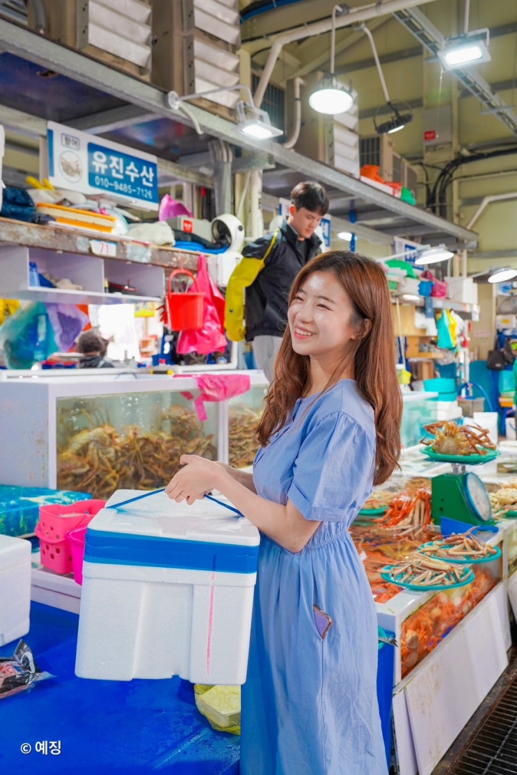 강릉 수산시장 대게 홍게 먹거리 주문진항 갈만한곳 네이버 블로그