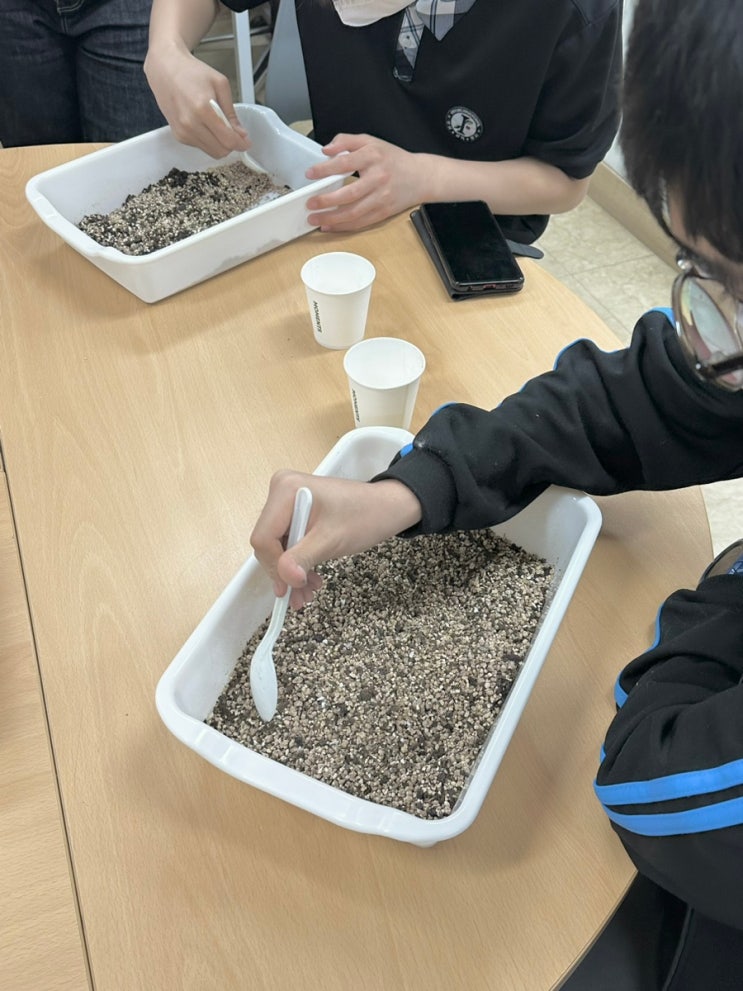구미꽃집 예라화 구미출강 원데이클래스 학교출강 단체수업 원예출강 다육이심기 화분심기 네이버 블로그