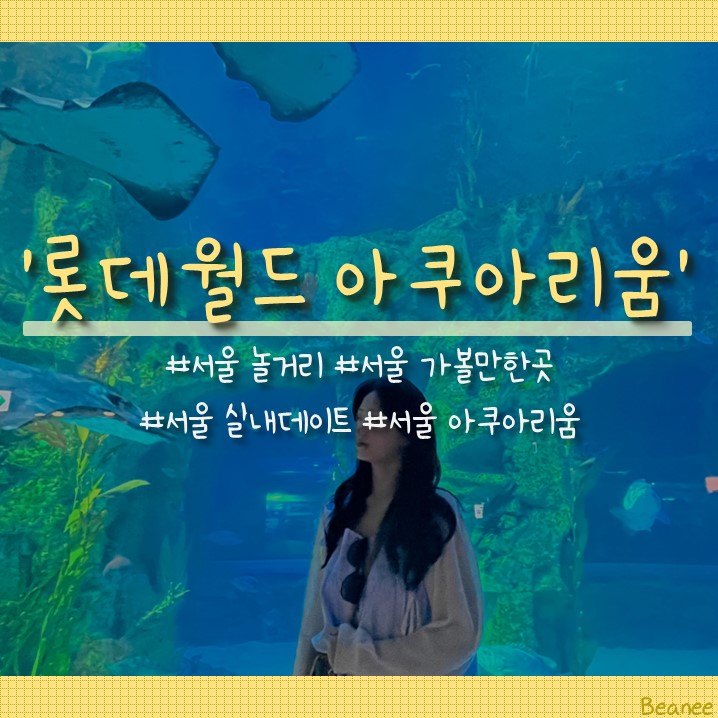 서울 놀거리서울 가볼만한곳 실내 데이트로 좋은 롯데월드 아쿠아리움 주말 방문 후기 Ft짐 보관 팁 할인 정보