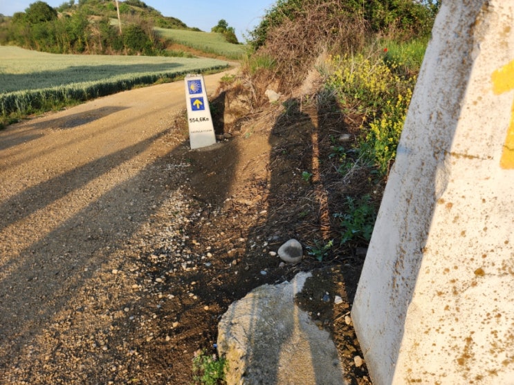 혼자 걷는 길 2(12) Belorado-Villafranca Montes de Oca : 네이버 블로그