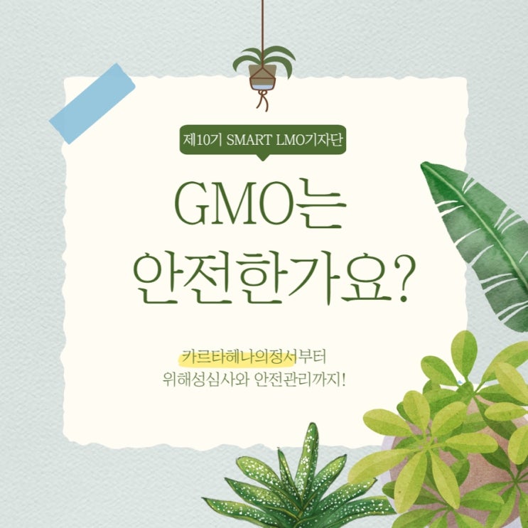 [SMART LMO기자단] GMO는 안전한가요? | 카르타헤나의정서부터 GMO위해성심사까지 : 네이버 블로그