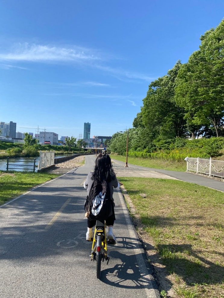 26-6(1) : 네이버 블로그