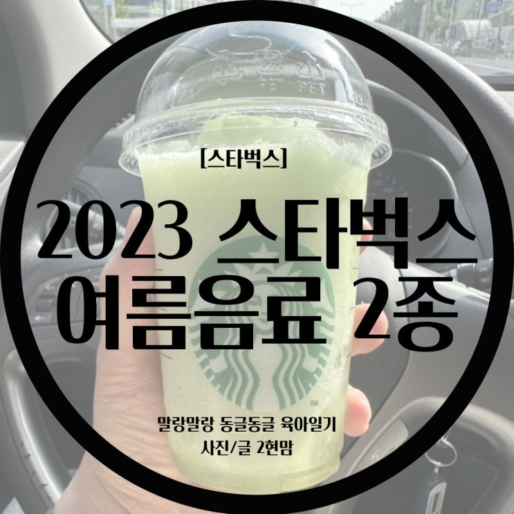 스타벅스 스타벅스 여름음료 2종 망고 용과 레모네이드 스타벅스 리프레셔 라이트 키위 라임 블렌디드 스타벅스