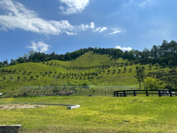 금산 가볼만한 곳 ♡ 개삼터 공원 ♡ 강아지산책 코스로 딱좋은 진악산 산책길 네이버 블로그