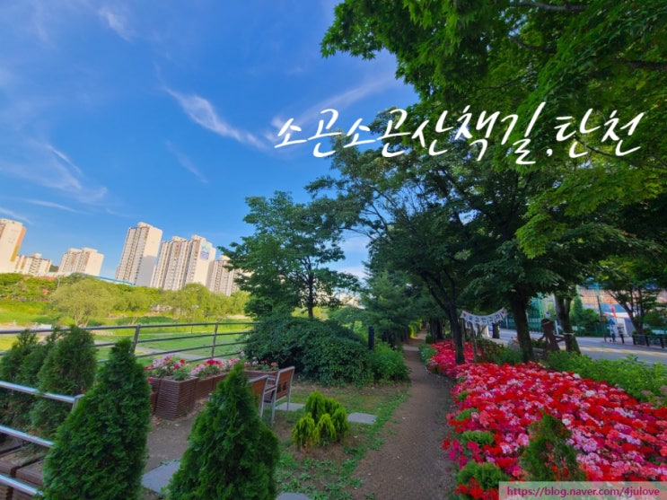 아름다운 분당 탄천 소곤소곤산책길의 아름다운 모습 날이 이렇게 좋은가 6월의 아름다운 자연 네이버 블로그