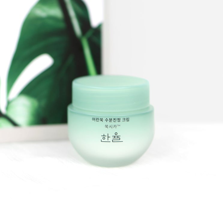 수부지 수분크림 추천 새로워진 한율 어린쑥 수분진정 크림 올영세일 중 네이버 블로그