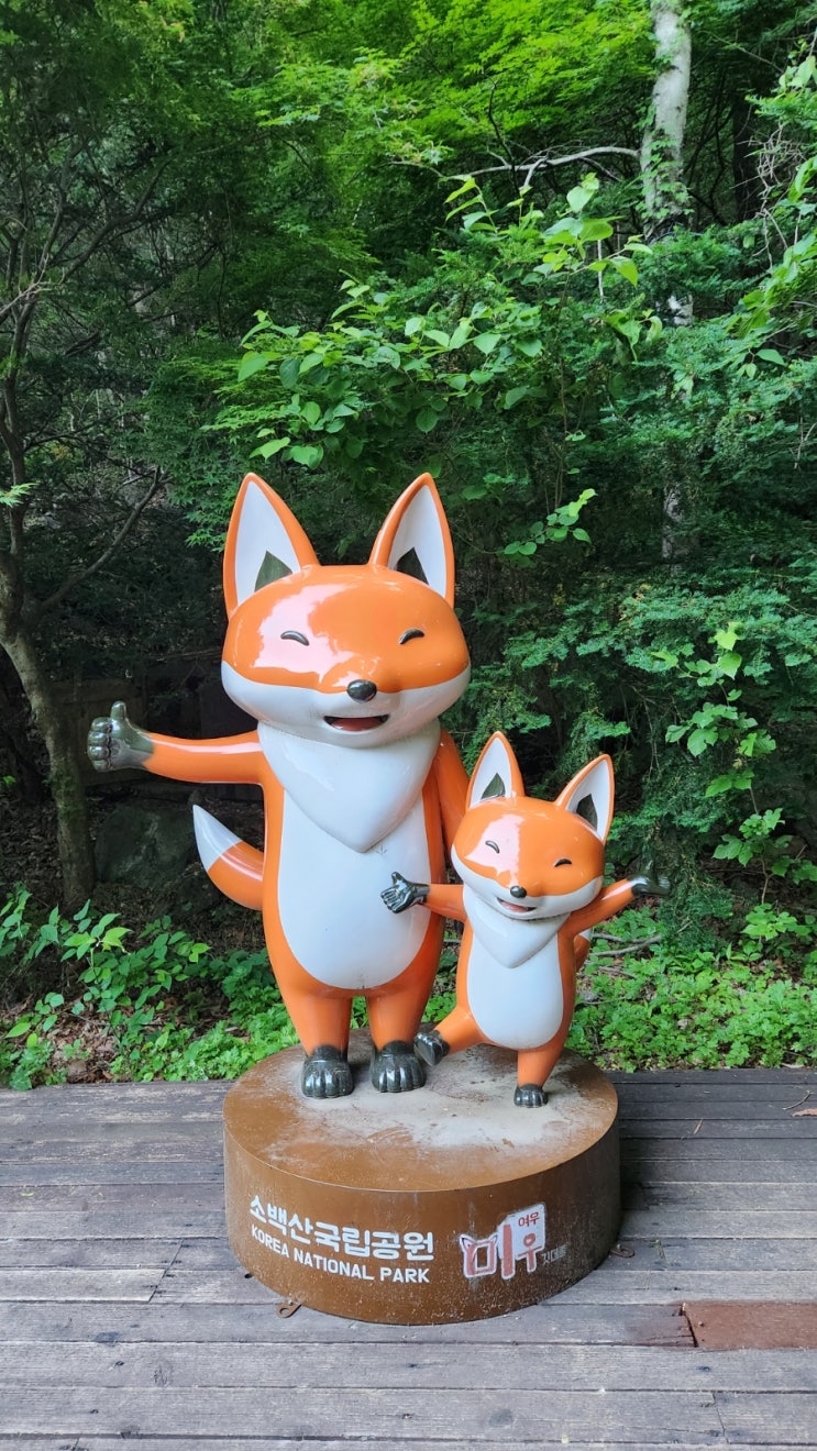 23년 6월 4일 소백산천동탐방지원센터 비로봉 연화봉 죽령탐방지원센터 네이버 블로그