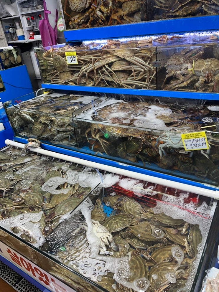 노량진 수산시장 5월 마지막 꽃게를 먹다 Feat경인꽃게 네이버 블로그