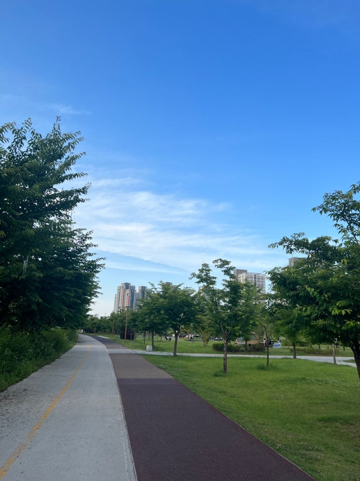 잘 하고 잘 지내고 있나? 중간 점검 : 네이버 블로그