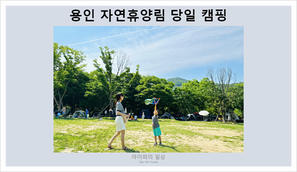 용인 아이와가볼만한곳 용인자연휴양림 입장료 피크닉 주차료 매점 네이버 블로그