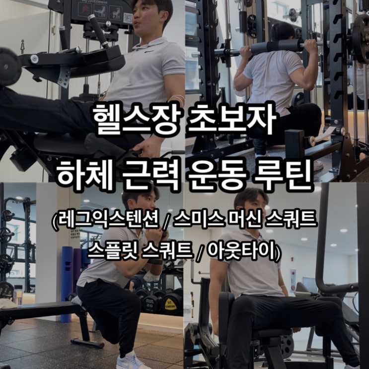 헬스장 초보자 하체 근력 운동 루틴 레그익스텐션 스미스머신 스쿼트 스플릿 스쿼트 아웃타이 네이버 블로그