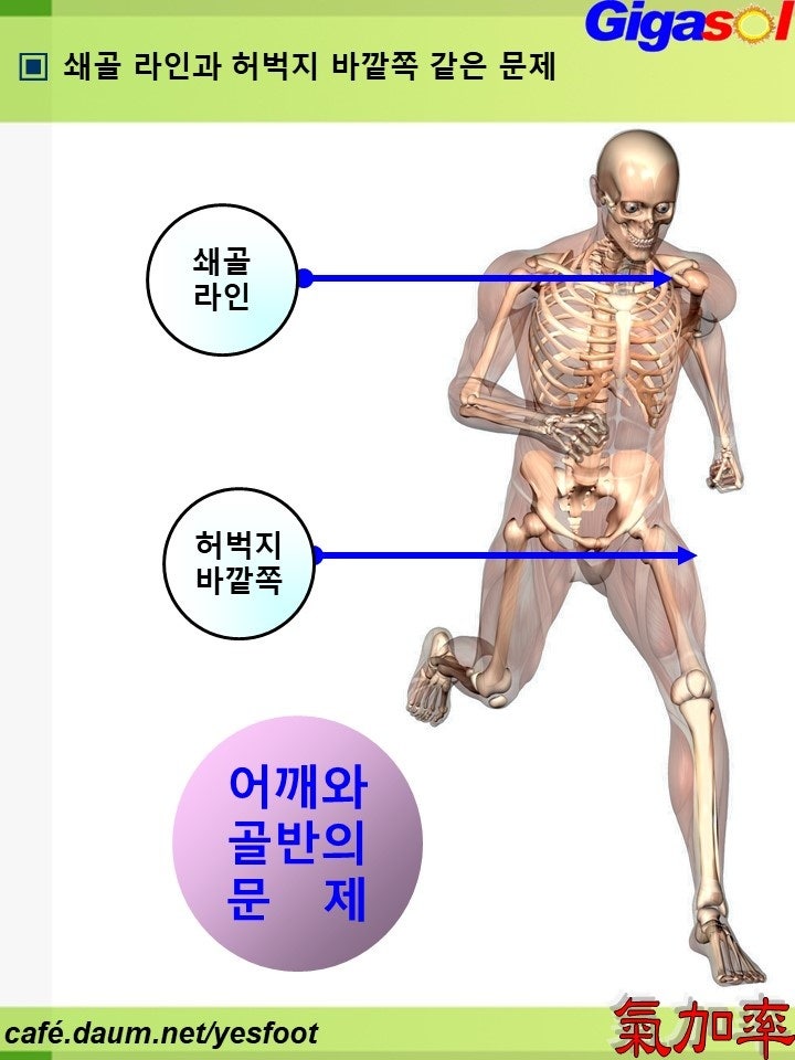난소와 견갑골 그리고 쇄골라인의 애증의 관계 : 네이버 블로그