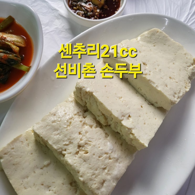 센추리21cc 맛집 아침식사 점심식사 선비촌손두부 : 네이버 블로그