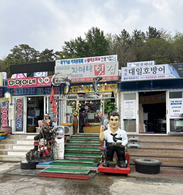 속초 롯데리조트 맛집 외옹치항 회센터 자매네횟집 네이버 블로그