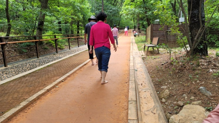 수리산 황토길 맨발걷기 : 네이버 블로그