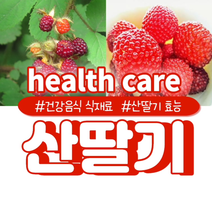 산딸기 효능 칼로리 및 벌레 세척 곰팡이 없이 보관법 네이버 블로그