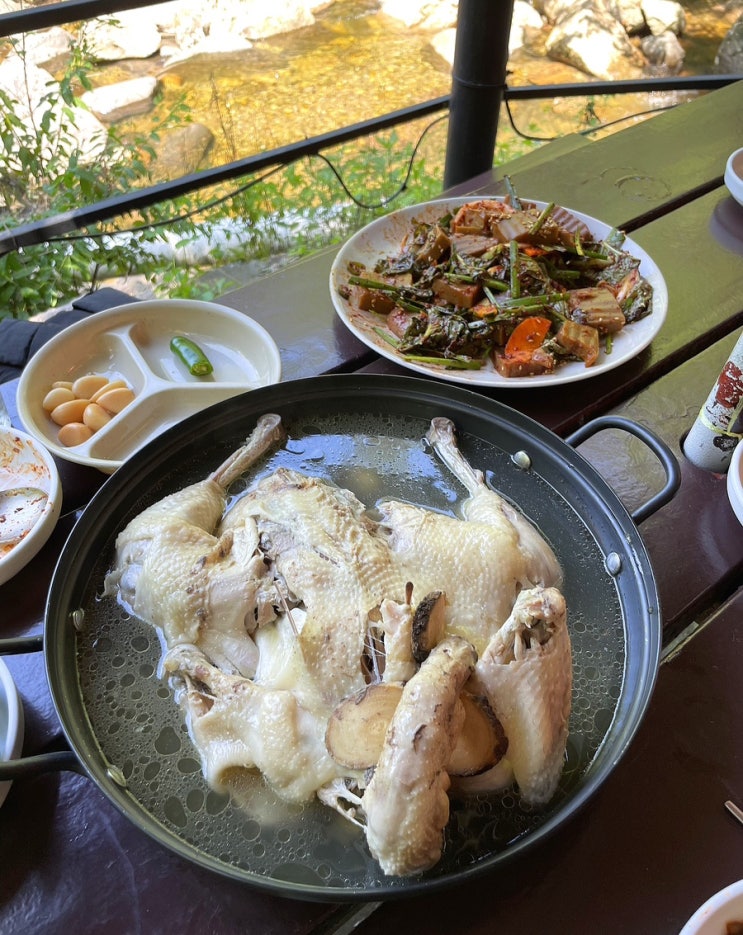 광주 무등산 닭백숙 맛집 무등산장 시원한 계곡 계곡 바로 앞에서 먹는 백숙 물놀이도 가능 네이버 블로그