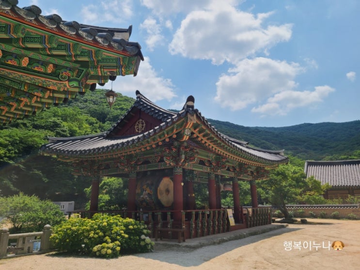 광주 근교 여름 여행 나들이 나주 불회사에서 시원한 바람쐬기 네이버 블로그