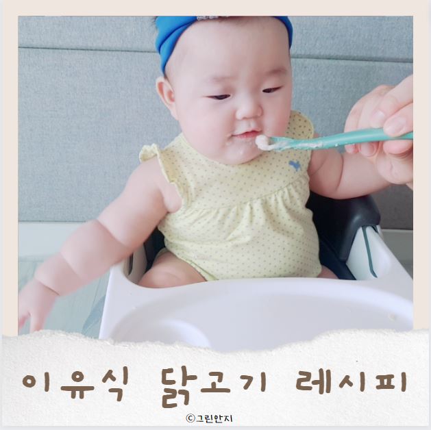 이유식 닭고기 부위 손질방법 중기이유식 육수 큐브 만들기 네이버 블로그