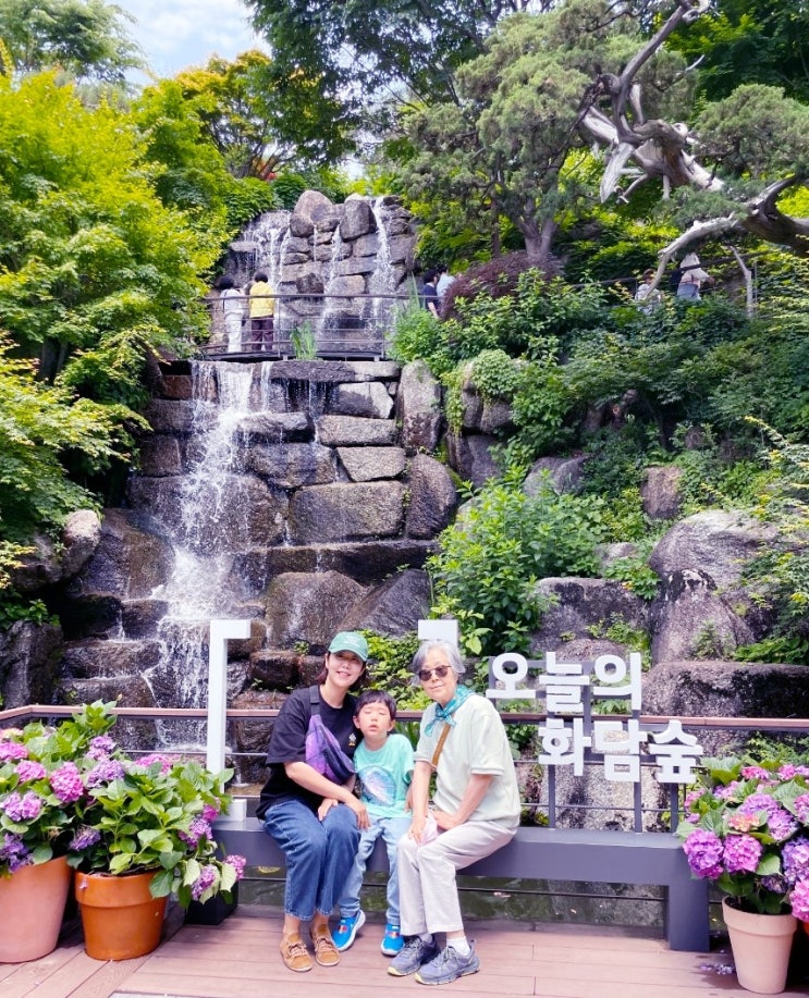경기도 광주 가볼만한곳 탐스런 수국 만발~곤지암 화담숲~서울 근교 힐링산책주차비 입장료 정보 네이버 블로그