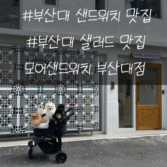 부산 금정구 부산대 야외나들이에 딱 좋은 피크닉 샌드위치 샐러드 맛집 모어샌드위치 부산대점 포장 한끼식사 네이버 블로그