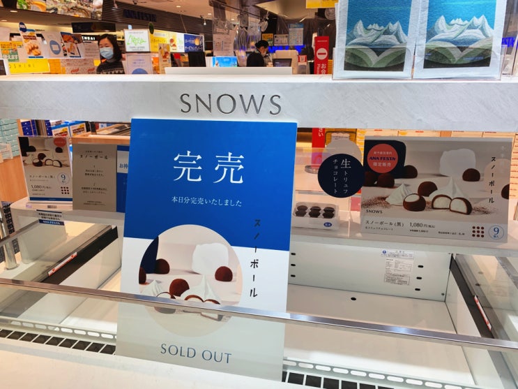 인생 첫 홋카이도 여행 9편- 폭설과 귀국편 결항 : 네이버 블로그