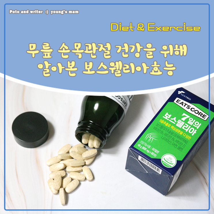 무릎 손목관절 건강을 위해 알아본 보스웰리아효능 네이버 블로그