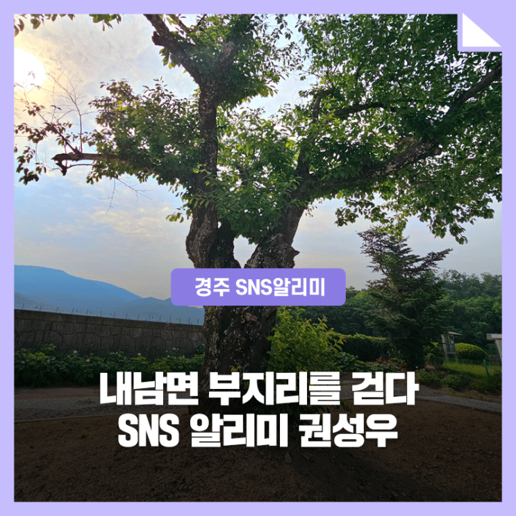 내남면 부지리를 걷다. _ SNS 알리미 권성우 : 네이버 블로그